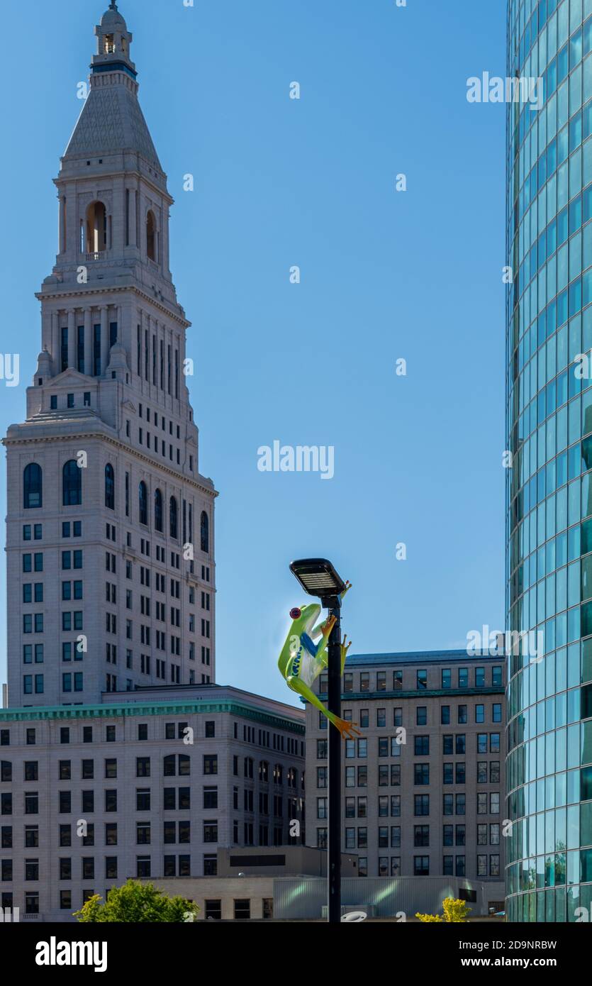 A large faux bull frog climbs at light pole outside the Science Center ...