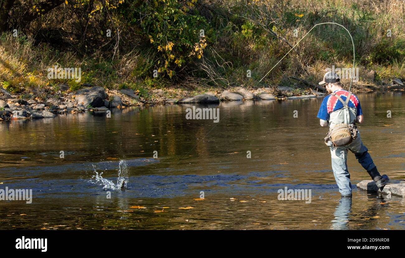 Enjoying a fall afternoon fly fishing for Atlantic salmon on the ...