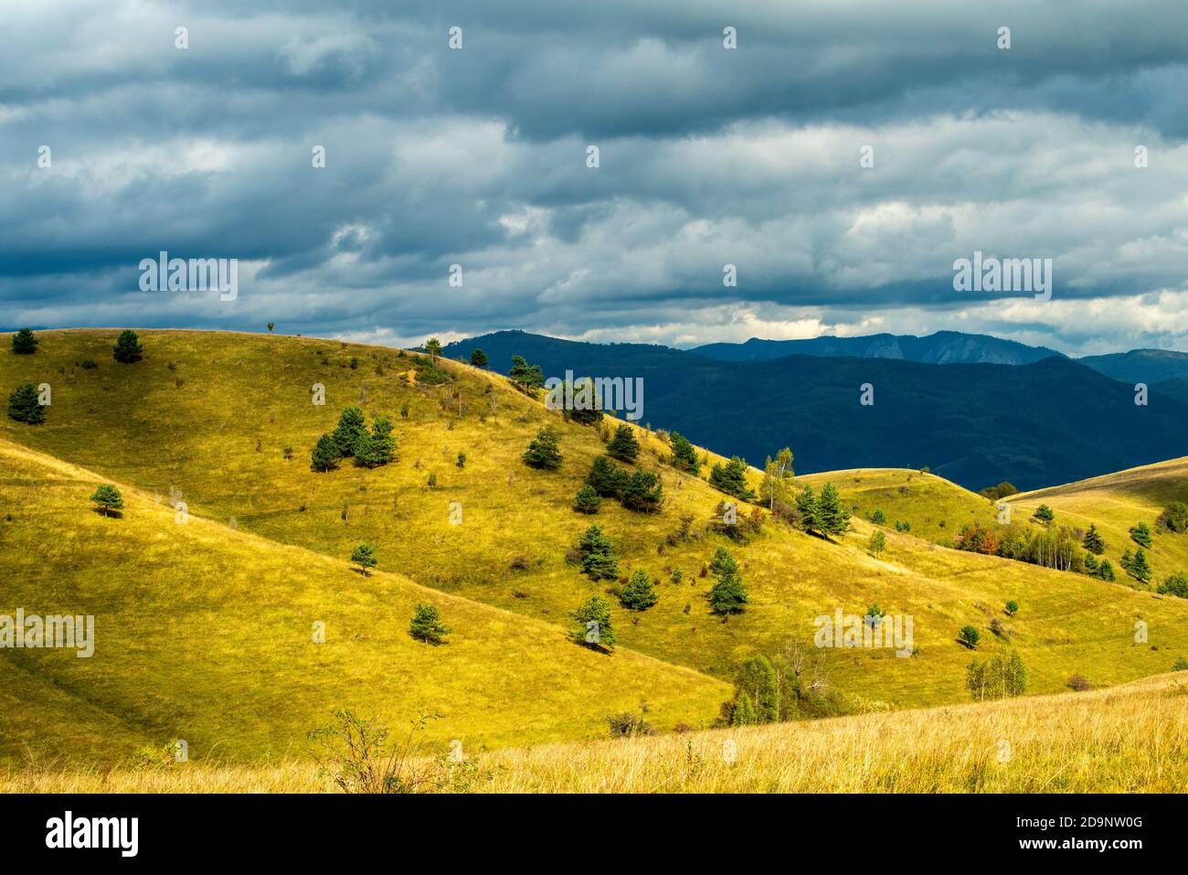 A colorful shot of the Ponor Valley, Alba, Apuseni Mountains ...
