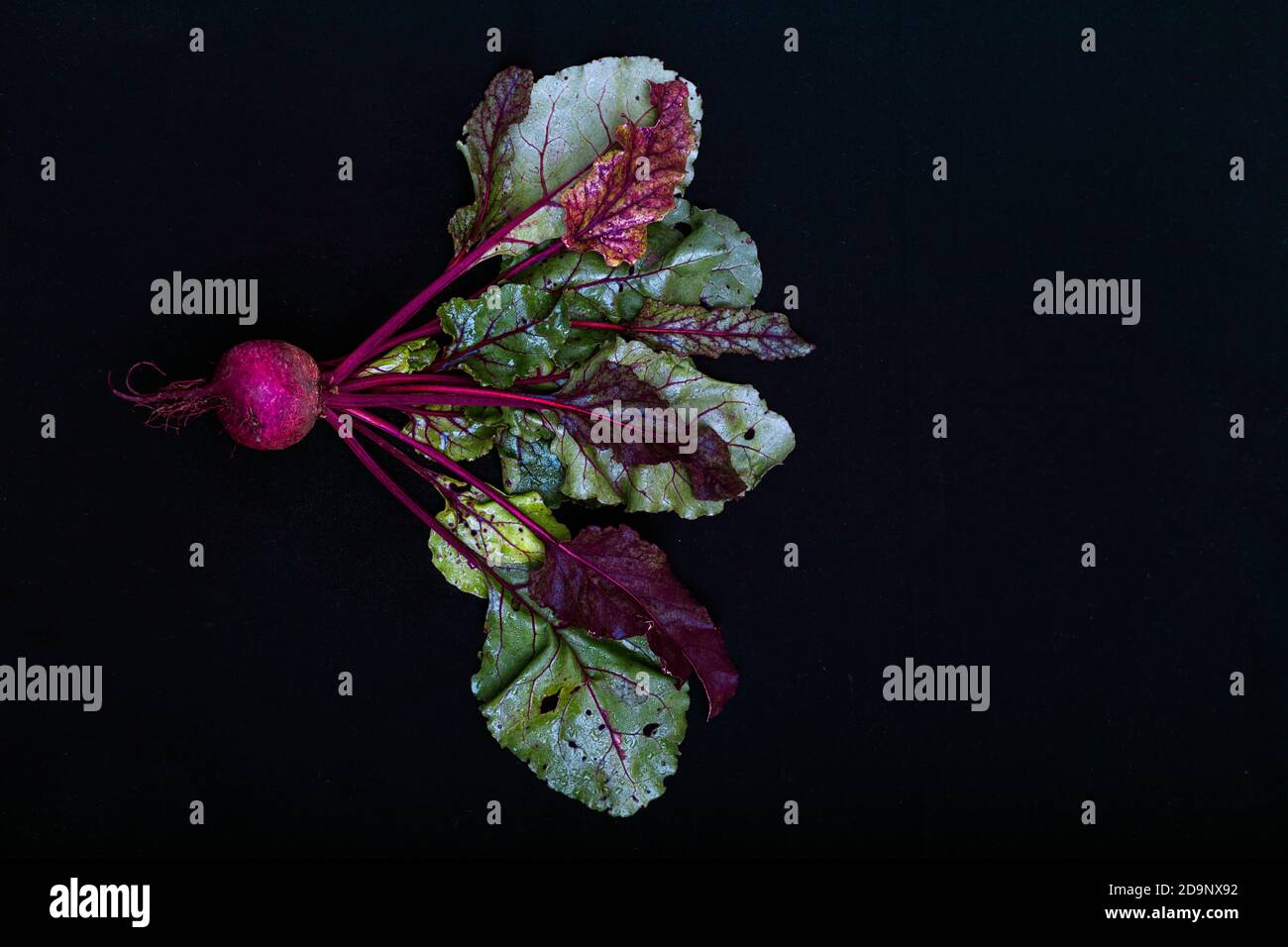 A top view of beetroot with leaves isolated on a black surface Stock ...