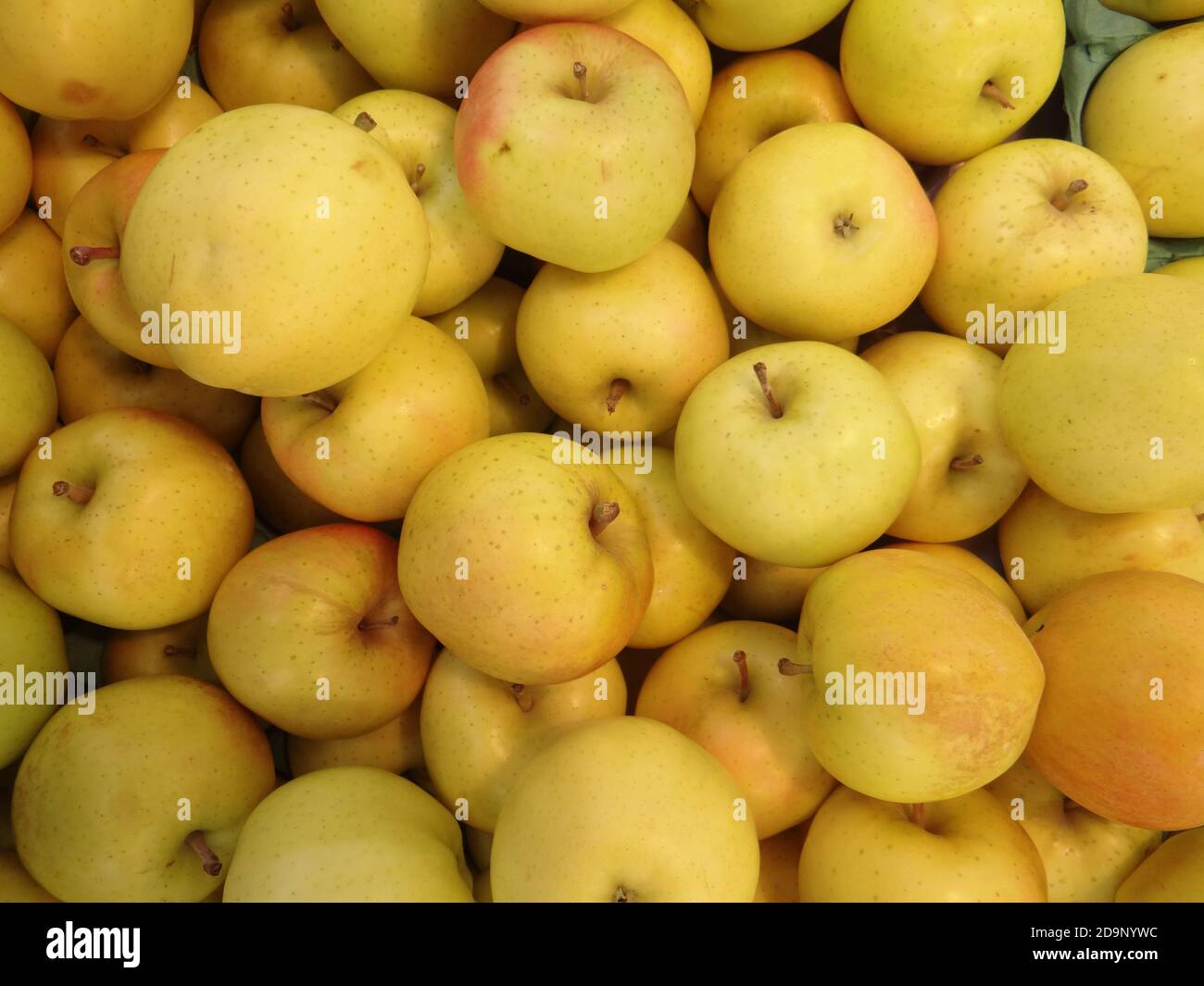 A top view of red ripe apples - background Stock Photo - Alamy