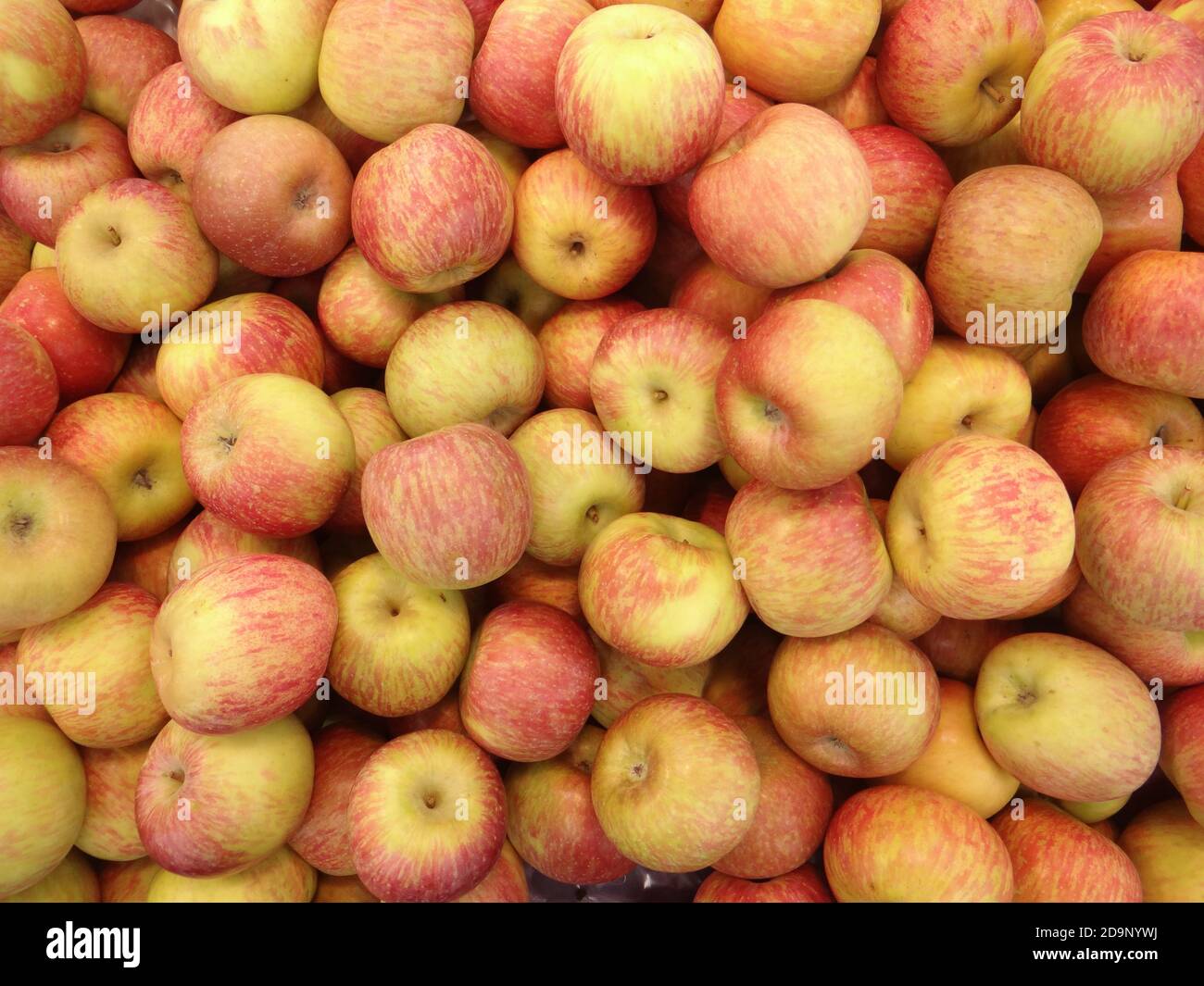 A top view of red ripe apples - background Stock Photo - Alamy