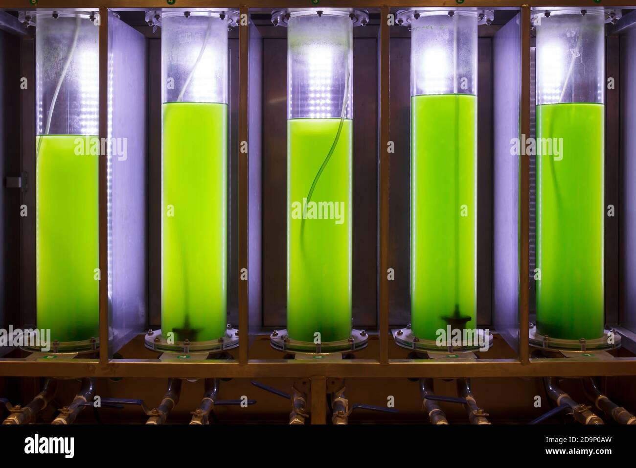 Biodiesel and (alga or algae) hi-res stock photography and images - Alamy