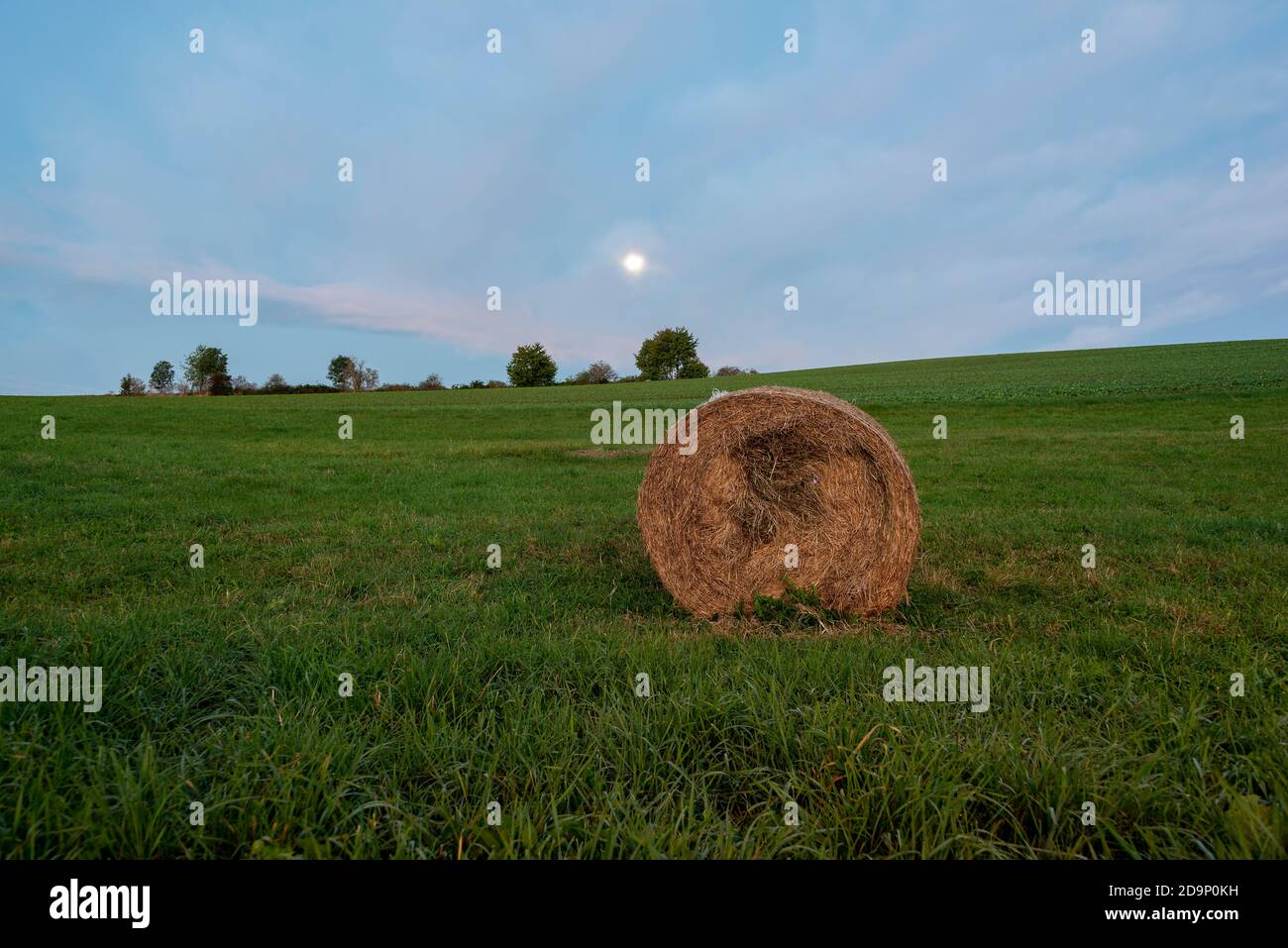 Picture of a full moon hi-res stock photography and images - Alamy