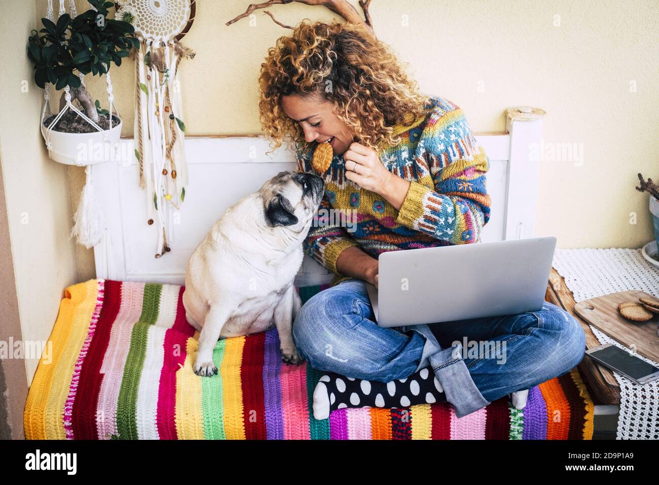 Funny Work Pictures With Animals