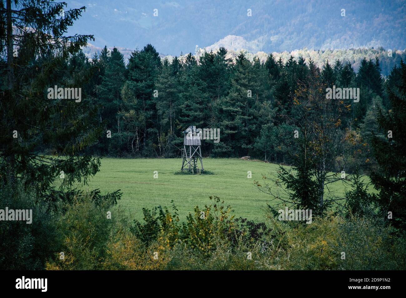a watchtower in the green field near a forest Stock Photo - Alamy