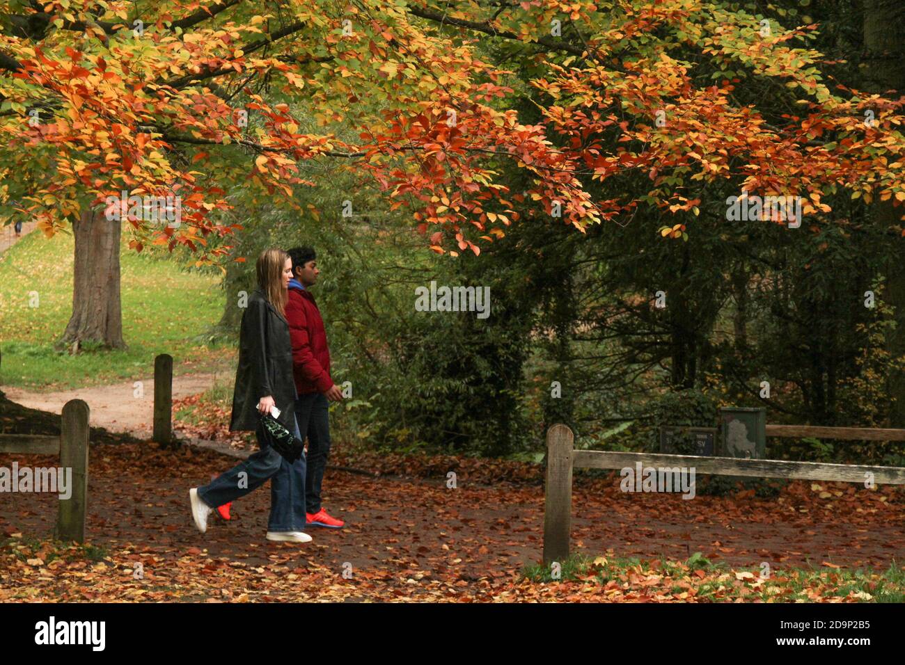 Trinity chapel in autumn hi-res stock photography and images - Alamy
