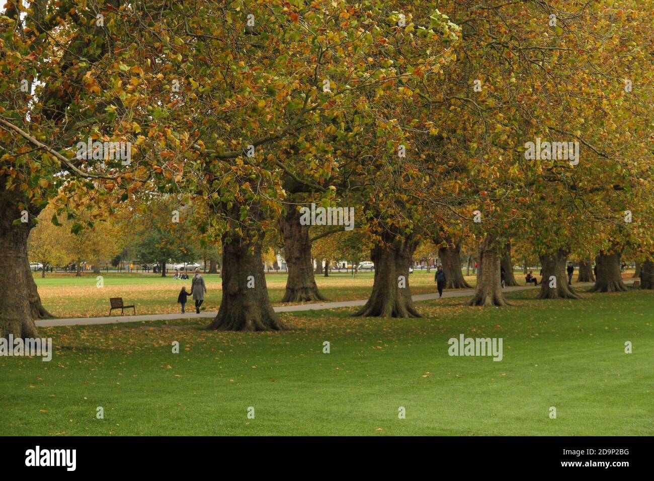 People walk along the Jesus Green in Cambridge Stock Photo - Alamy