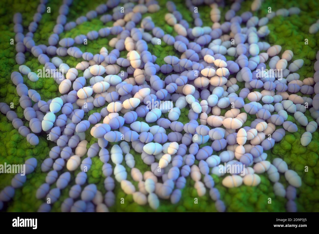 3d illustration of Streptococcus mutans. S. mutans is a coccoid shaped ...