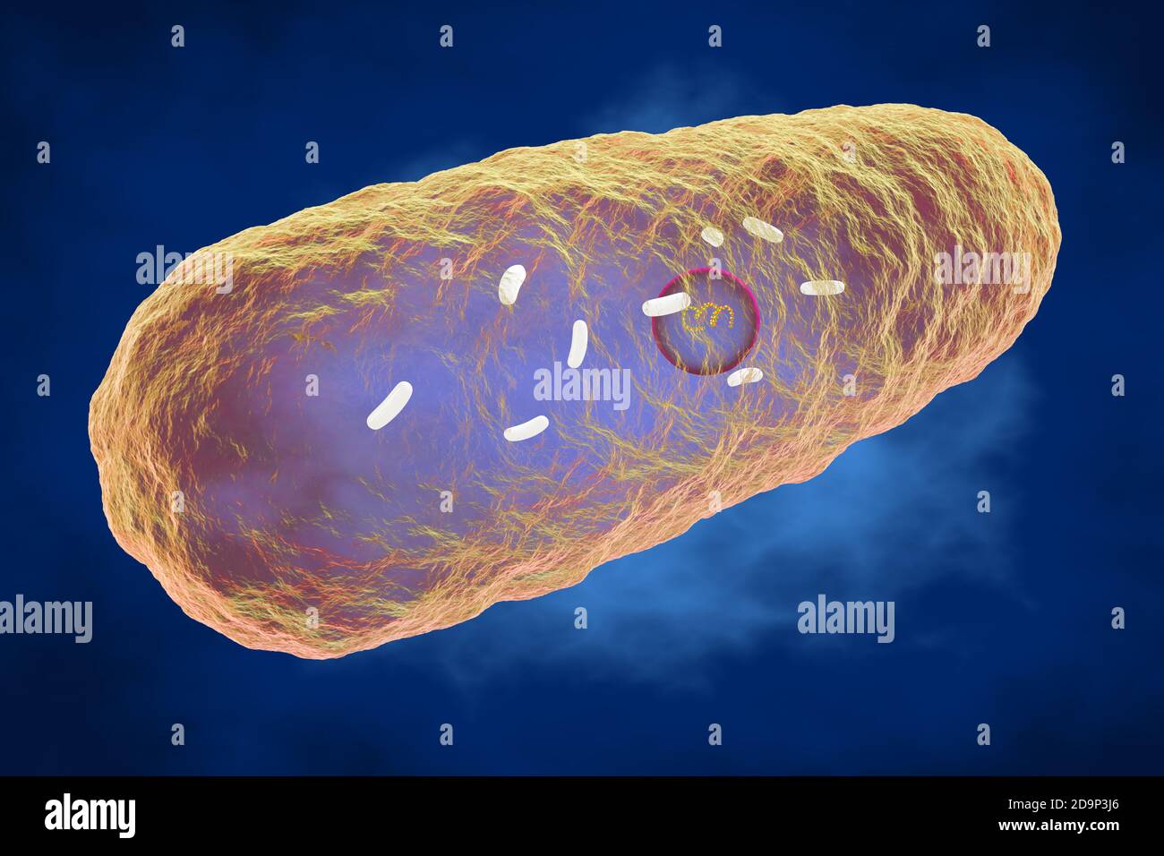 3d illustration of a plague bacterium (Yersinia pestis). This is a Gram ...