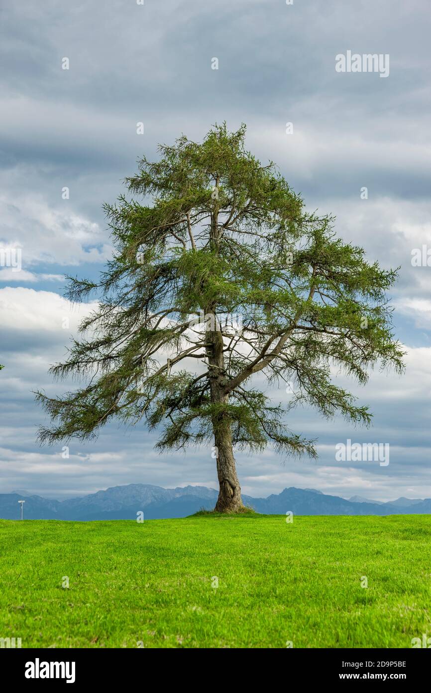 Hilly views hi-res stock photography and images - Alamy