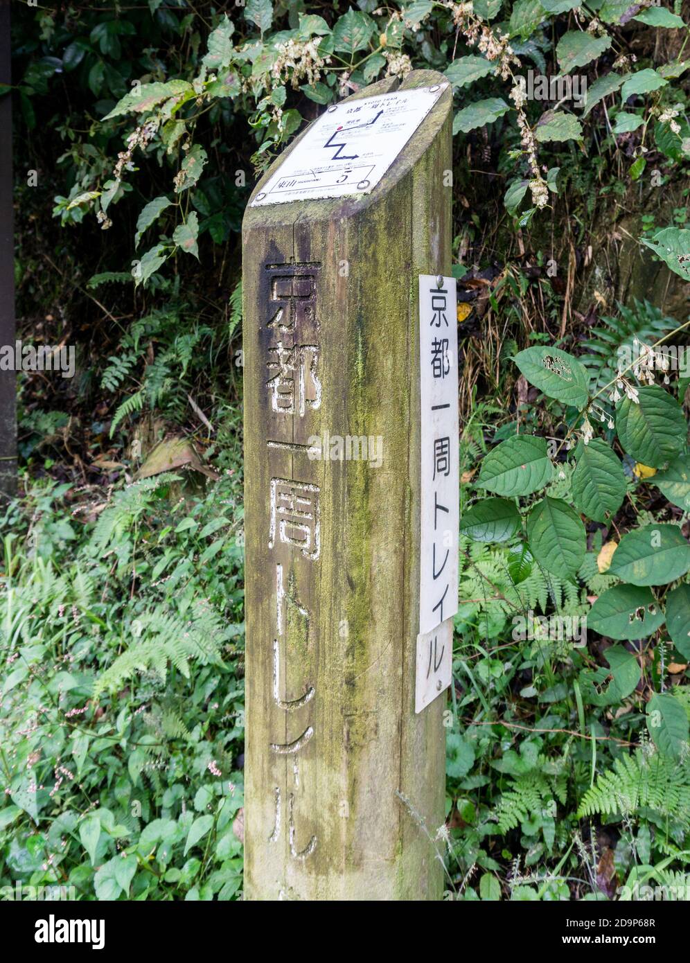 Japanese forest walk sign hi-res stock photography and images - Alamy