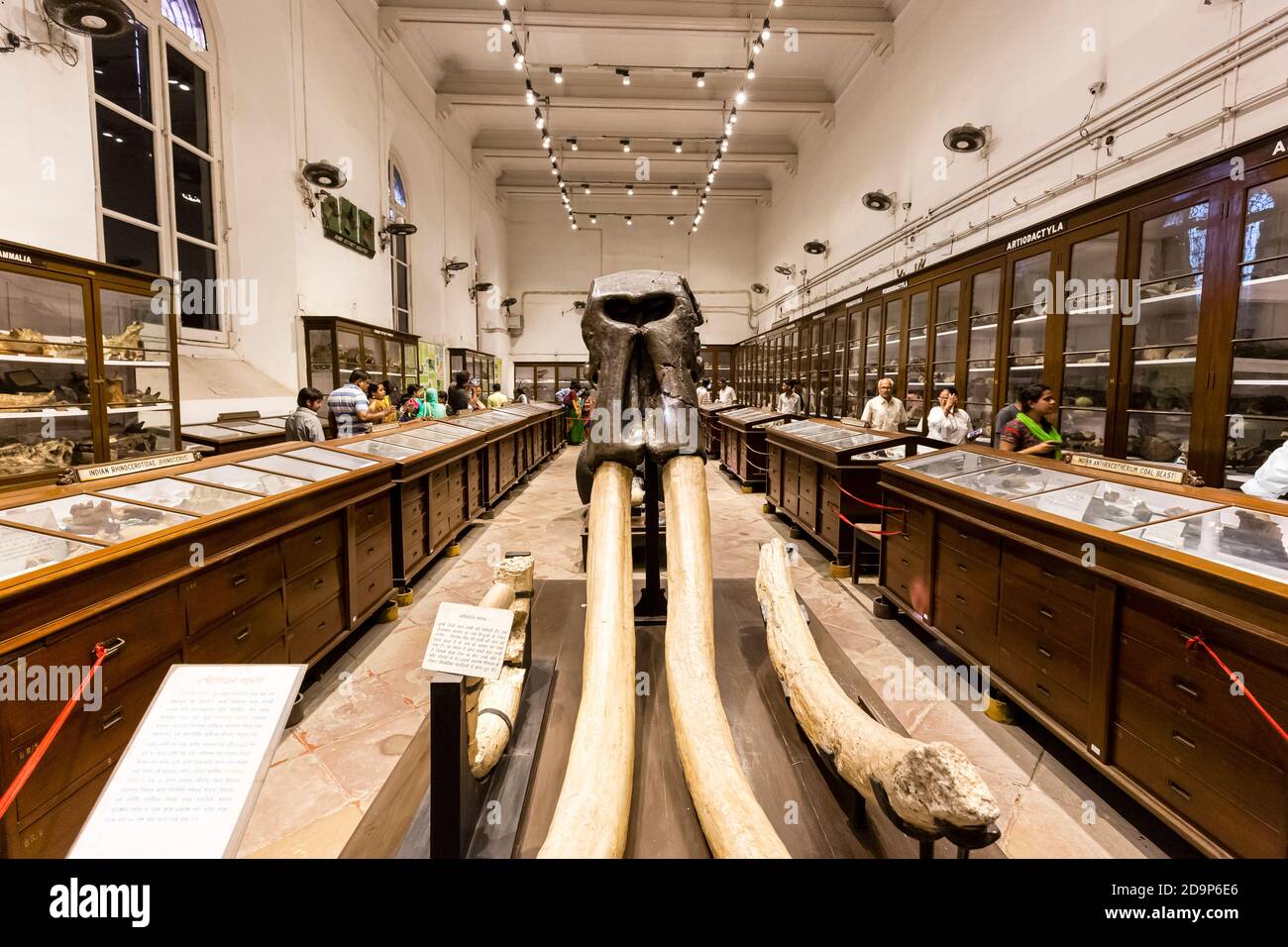 View of archaeological items put on display inside the famous Indian ...
