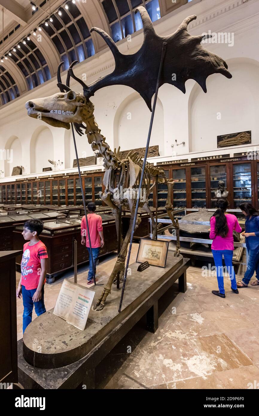 Inside Indian Museum