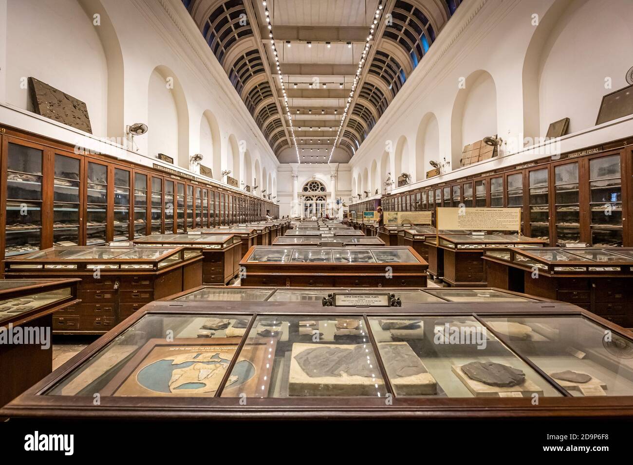 Inside Indian Museum