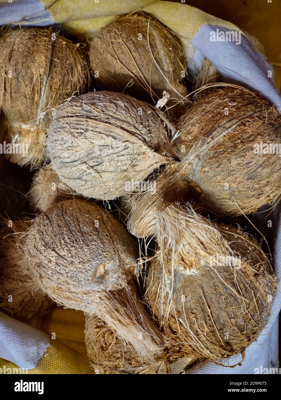 Bunch of coconuts stacked together on street market. Group of Skin ...