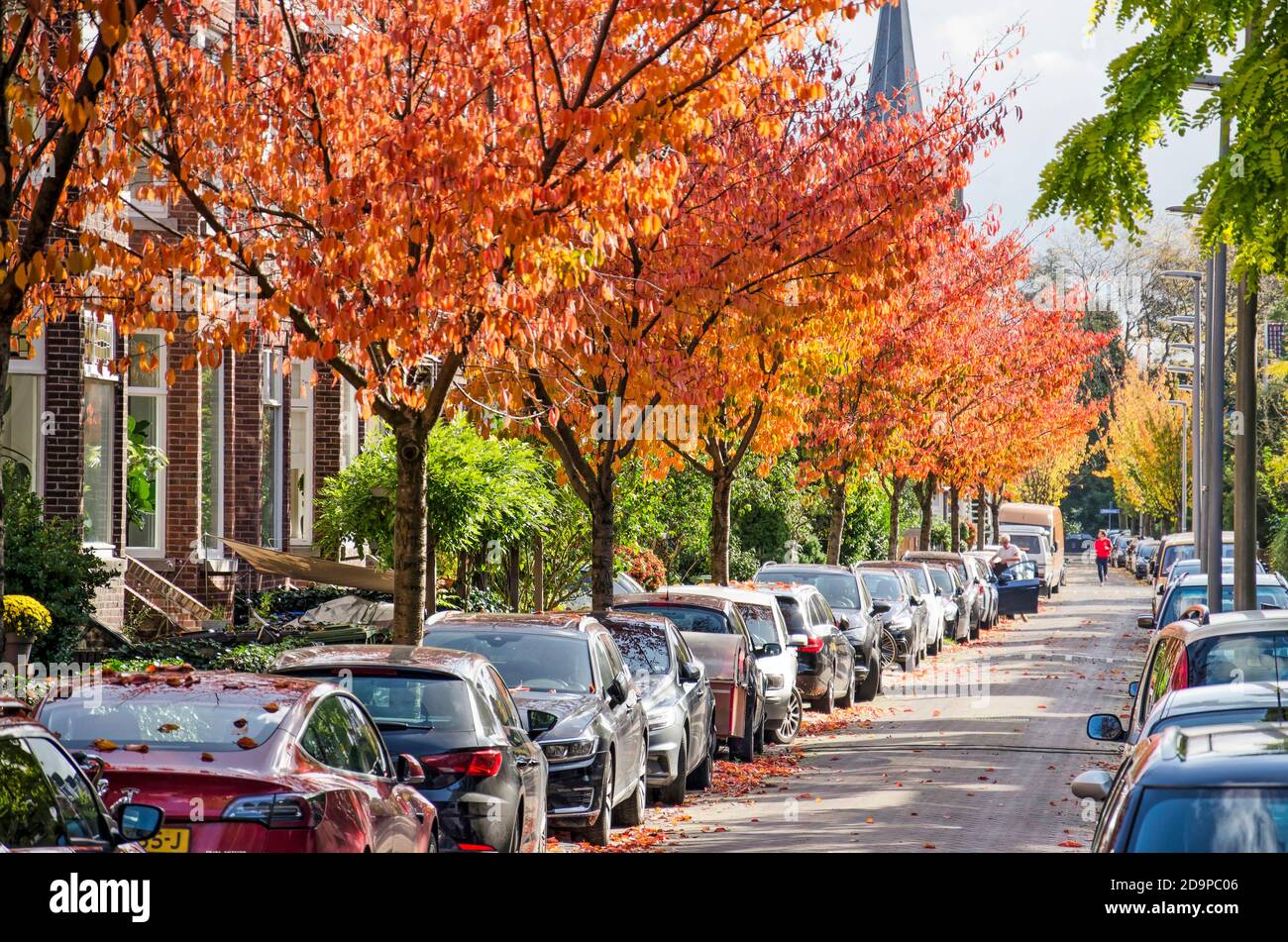 Rotterdam, The Netherlands, October 12, 2020: city street in ...