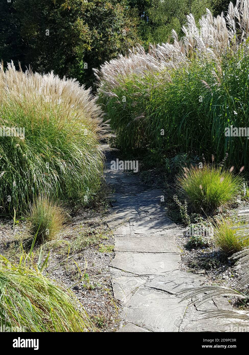 Garden grass paths hi-res stock photography and images - Alamy