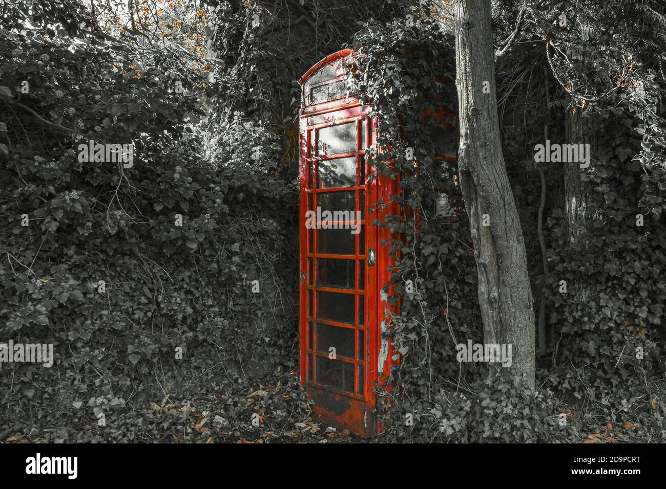 Old phone booth in forest hi-res stock photography and images - Alamy