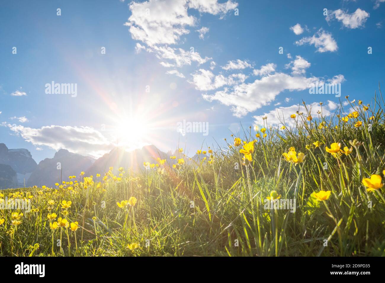 The Yellow Sun In The Sky