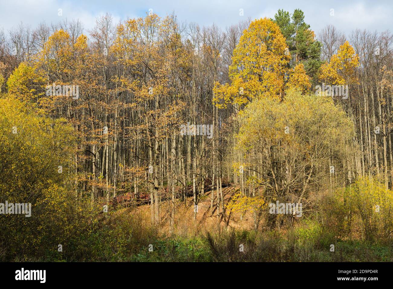 Wood season hi-res stock photography and images - Alamy