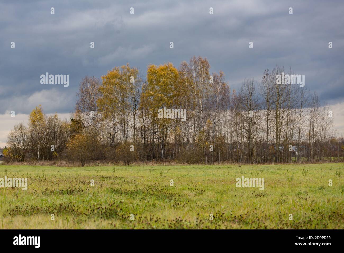 Fall landscape on the gloomy day of late autumn Stock Photo - Alamy