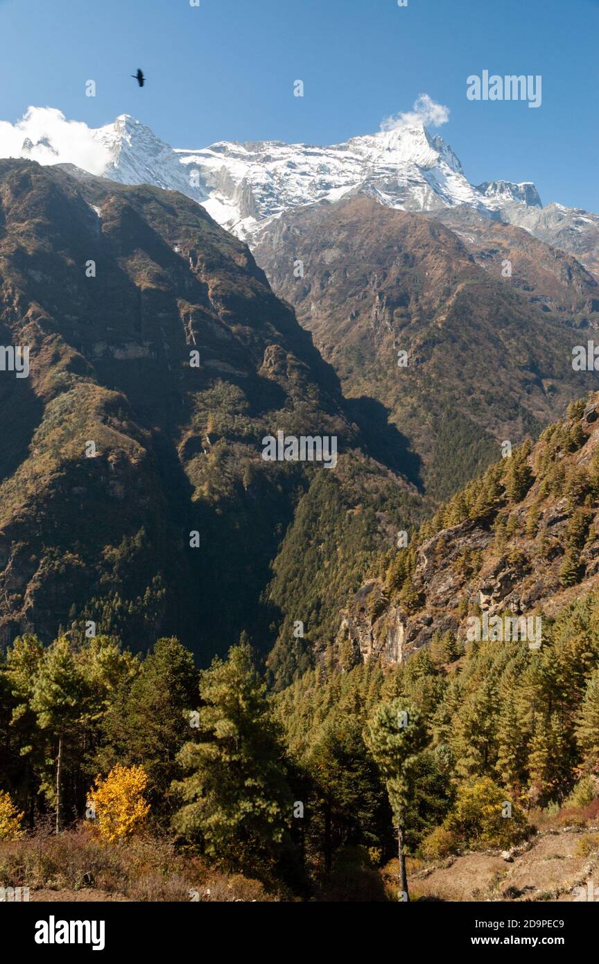Trekking in the Nepalese Himalaya Mountains Stock Photo - Alamy