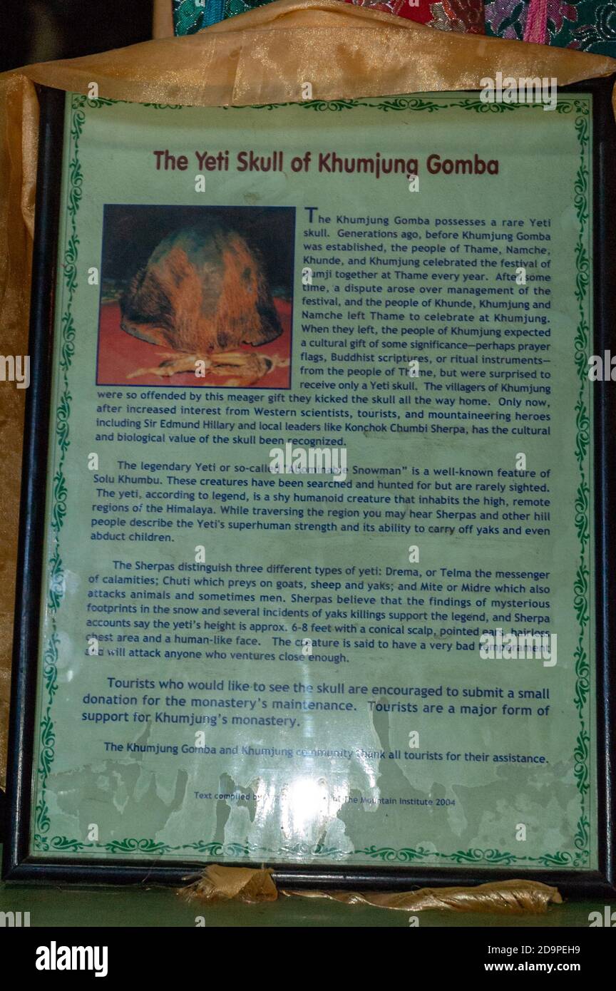 The famous Yeti skull of Khumjung Gomba monastery Stock Photo - Alamy