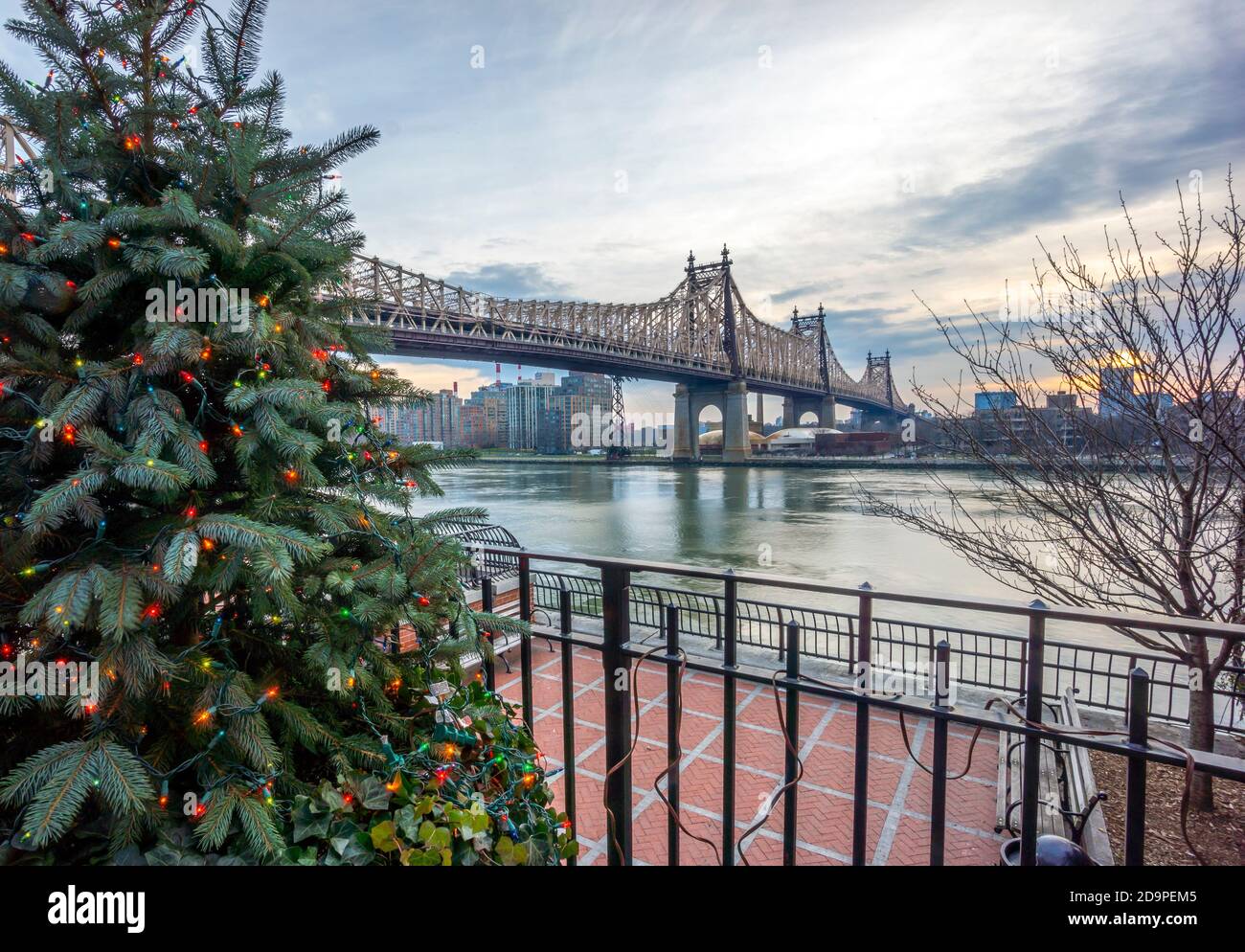 Christmas in the early morning at the Brooklyn bridge Stock Photo - Alamy