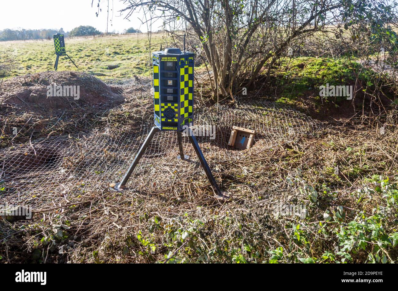Eviction of badgers clearance of badger sett using metal fencing and ...