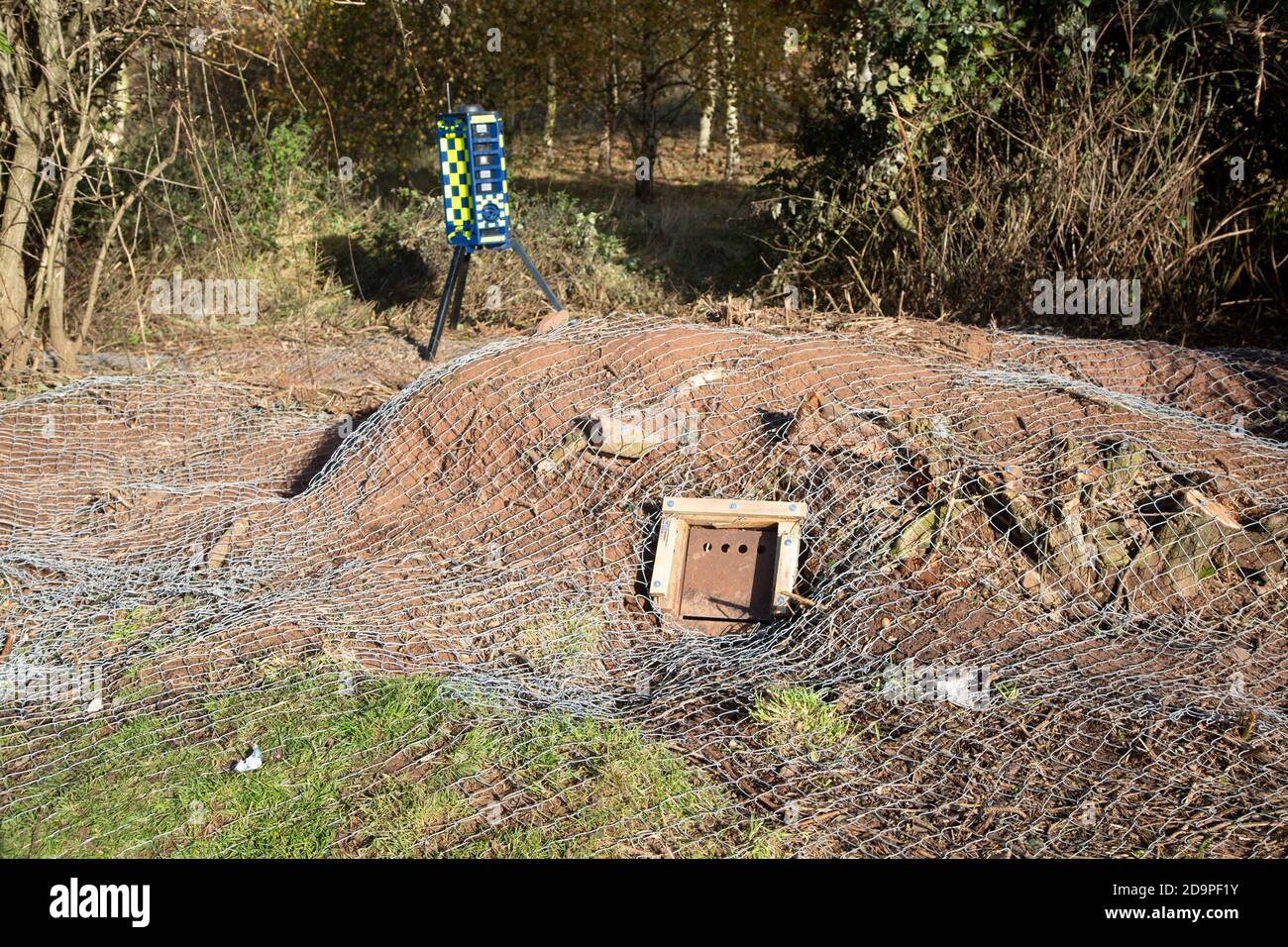 Eviction of badgers clearance of badger sett using metal fencing and ...