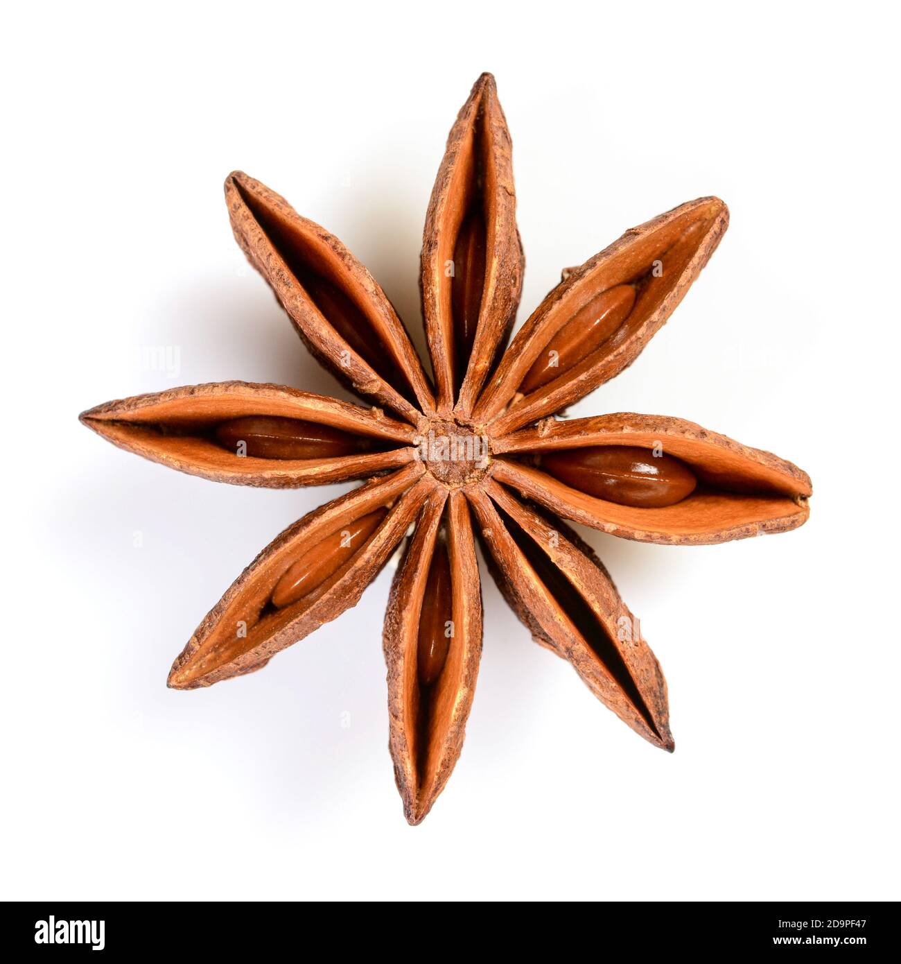 Star anise. Single star anise fruit. Macro close-up Isolated on white ...
