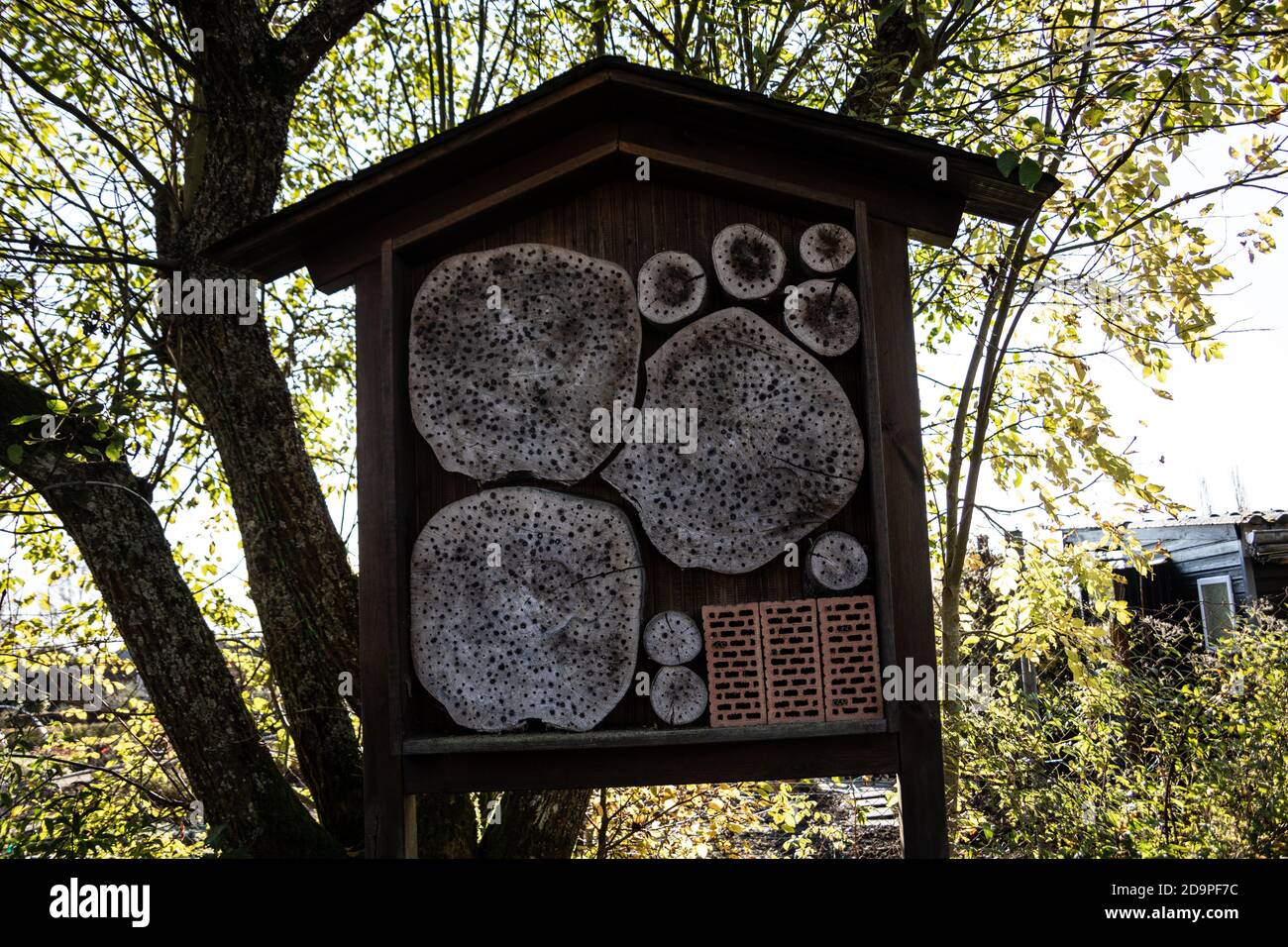 Insect hotel in the garden as a nesting aid for insects Stock Photo - Alamy