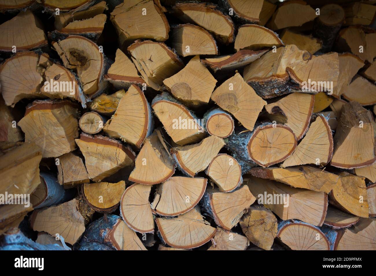 Firewood of different sizes is yellow in color Stock Photo - Alamy