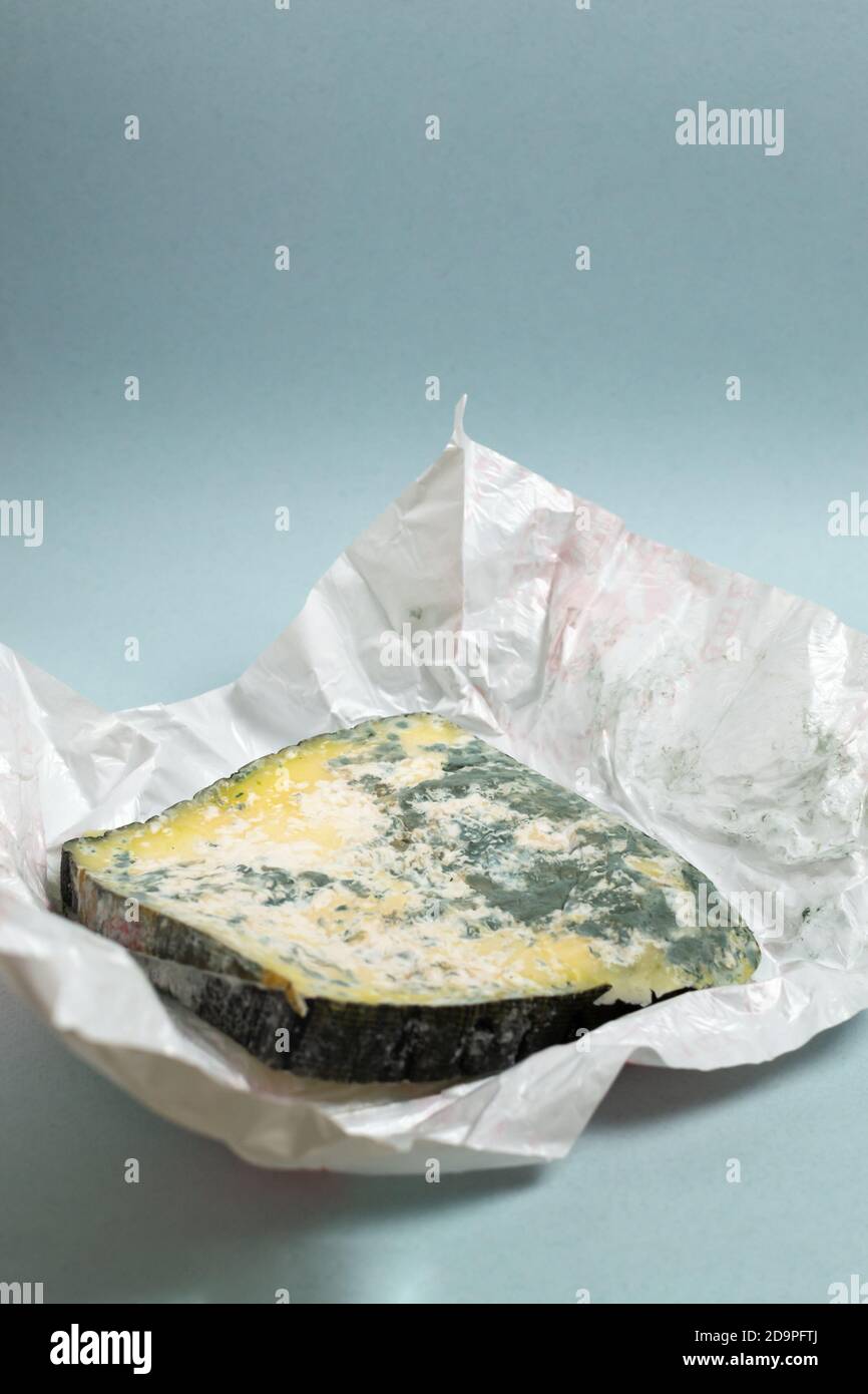 Rotten cheese hi-res stock photography and images - Alamy
