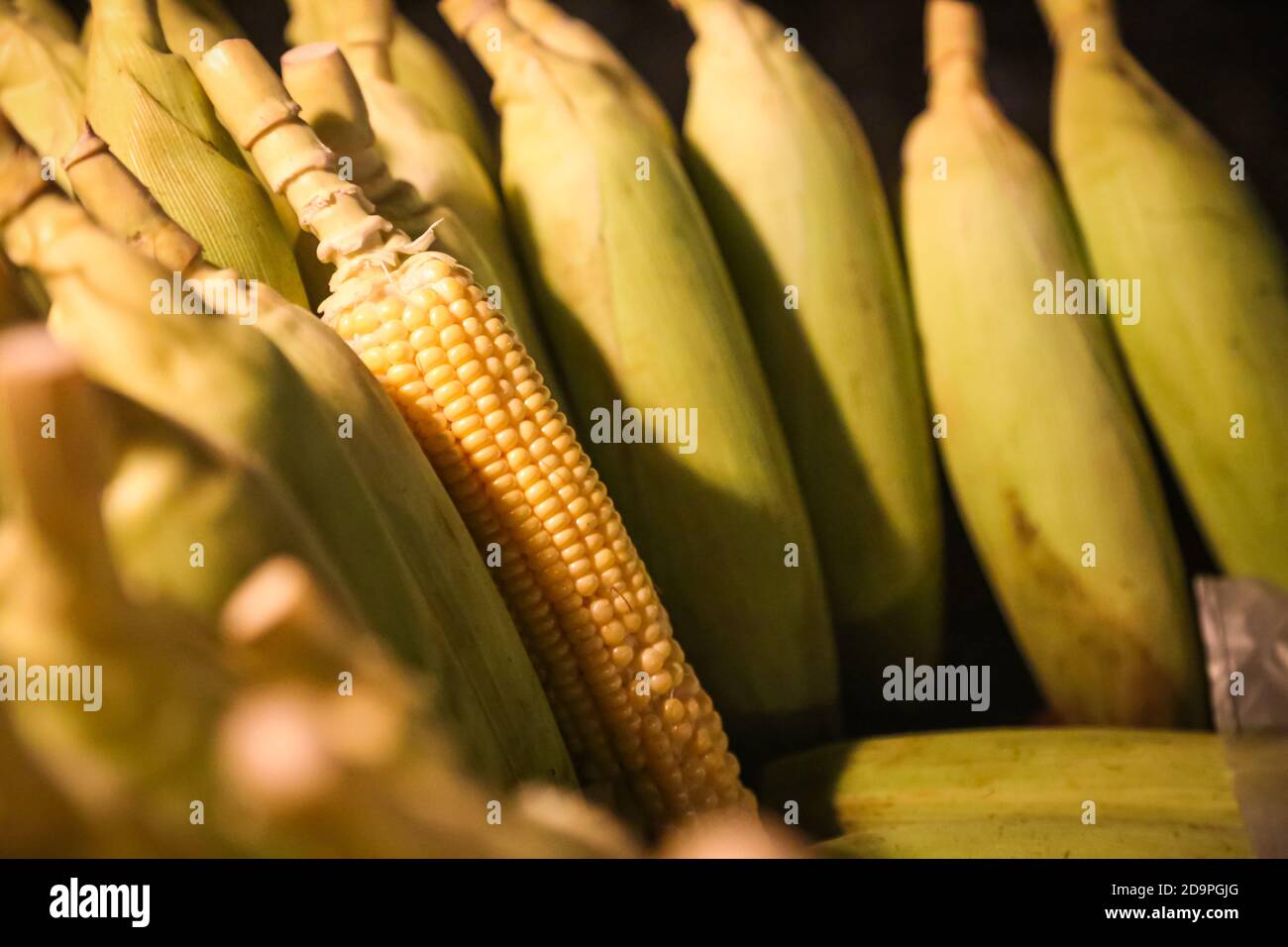 A charcoal grilled corn, typical asian snacks Stock Photo - Alamy