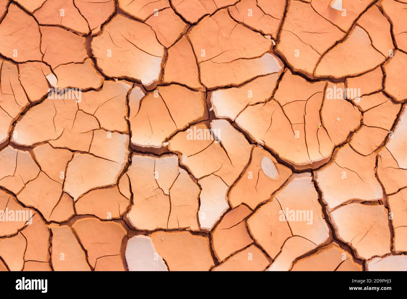 Cracked earth in dry land with beautiful texture Stock Photo - Alamy