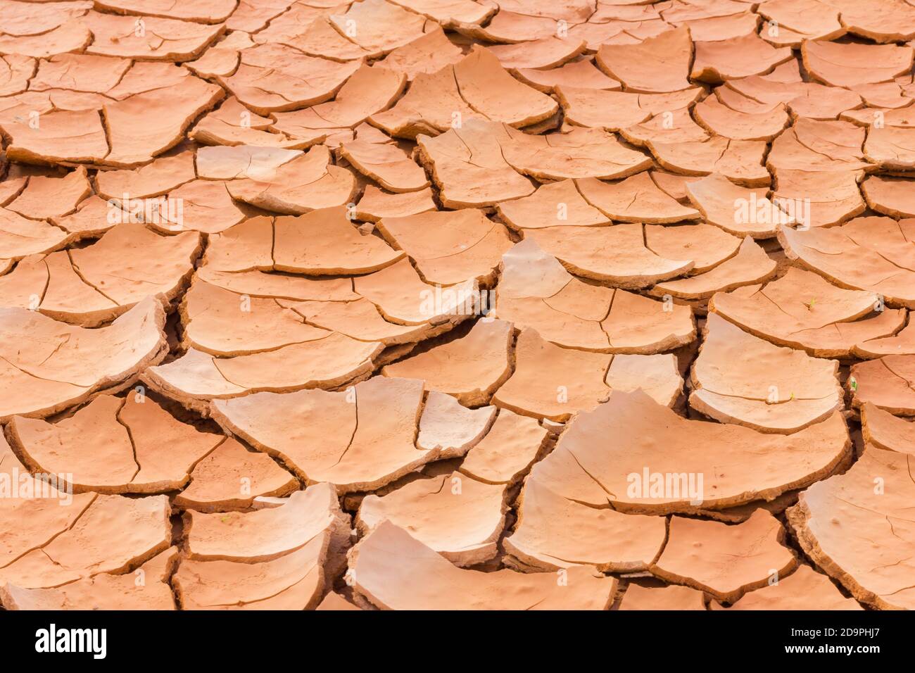 Cracked earth in dry mud with beautiful texture. perspective view Stock ...