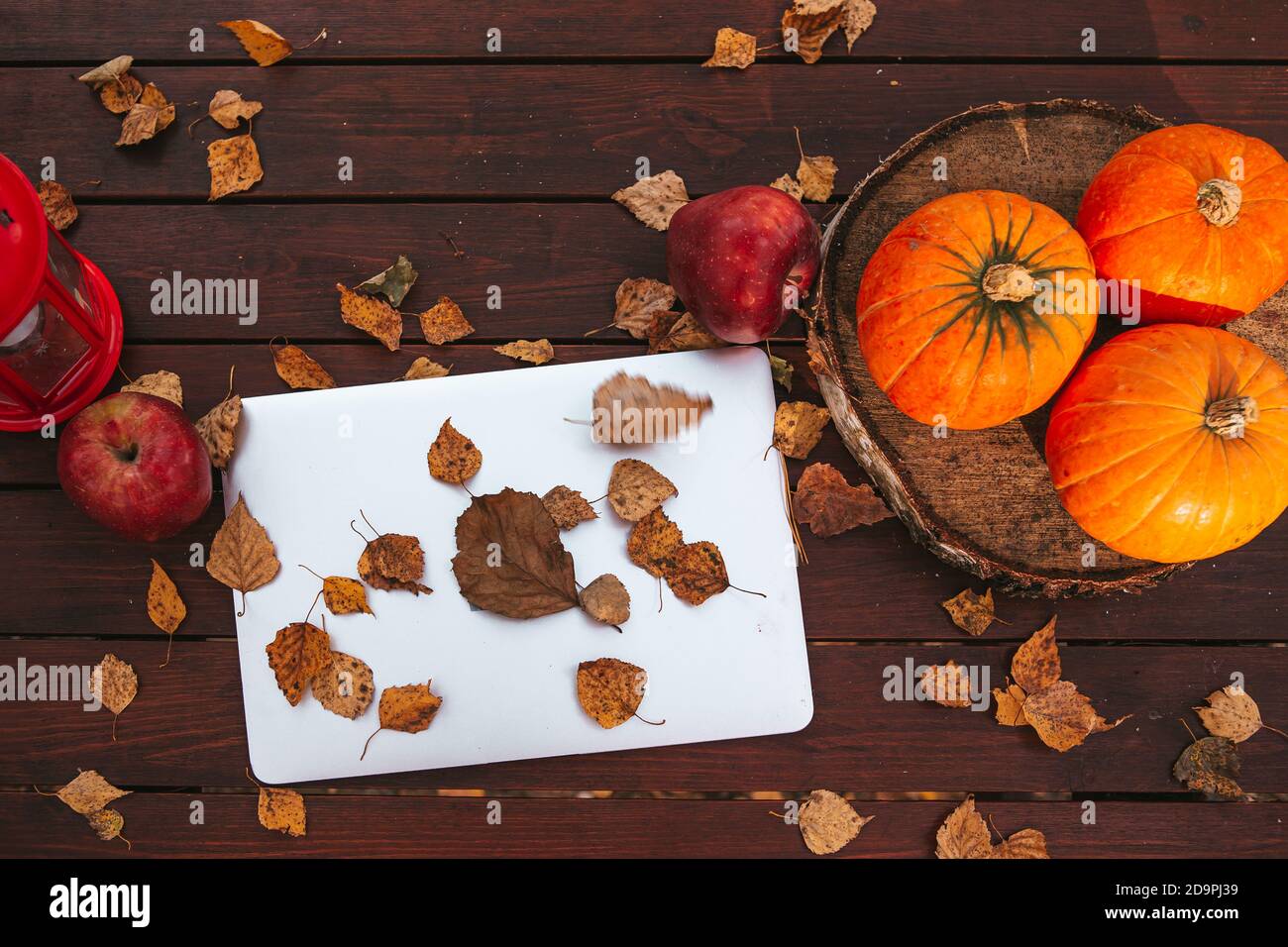 Orange pumpkin and leaves near laptop computer on a table. Wooden ...