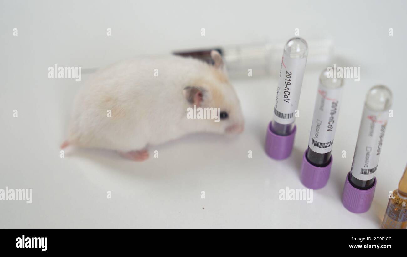 Positive rat test hi-res stock photography and images - Alamy