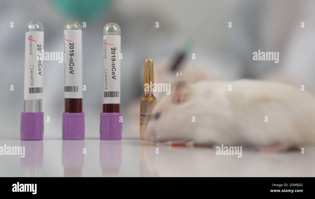 Lab rat experiment hi-res stock photography and images - Alamy