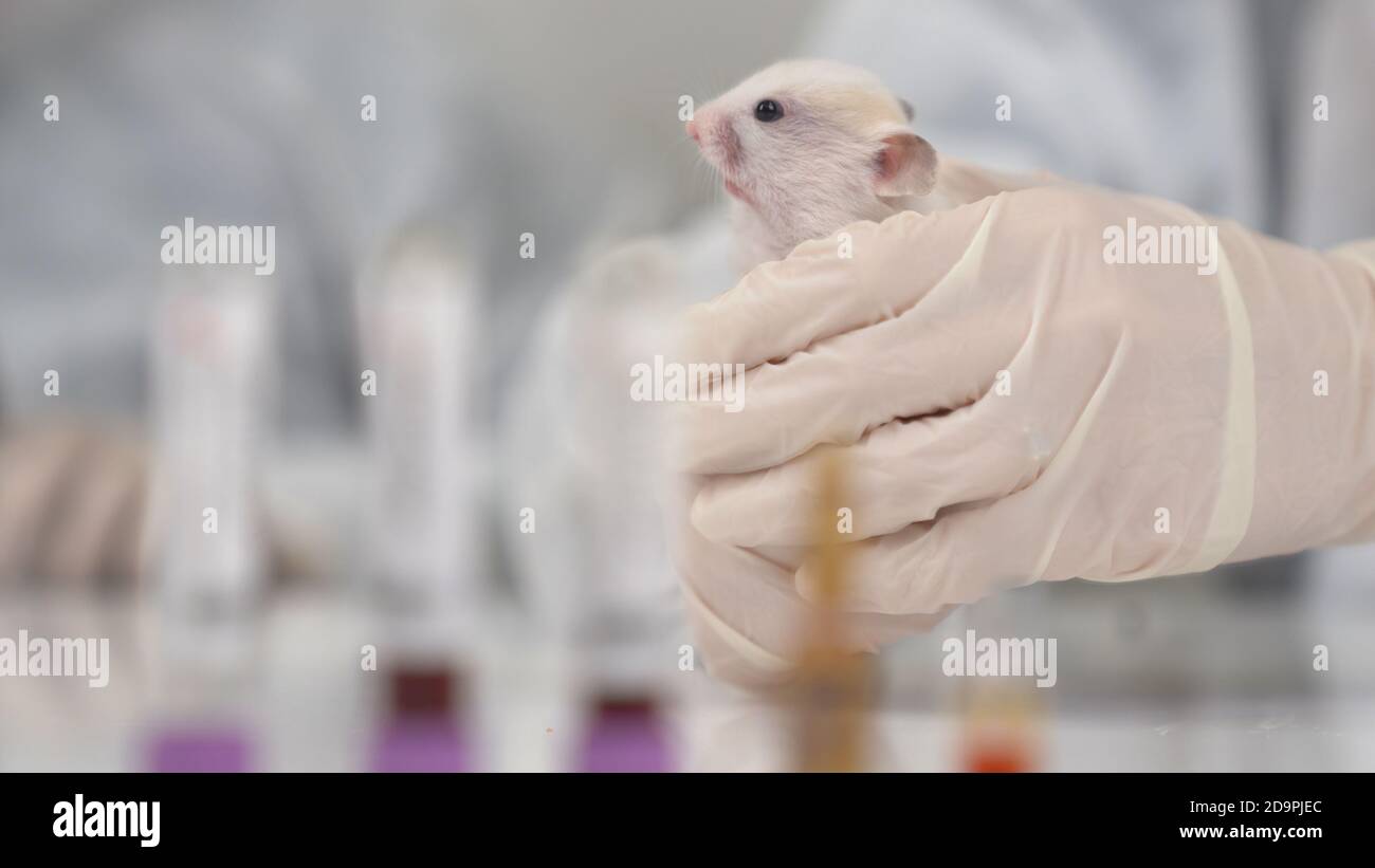 Back of chinese scientist hi-res stock photography and images - Alamy