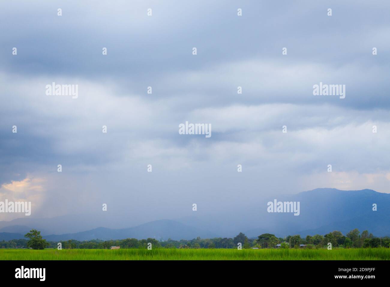 Bad weather landscape of countryside with rain on mountain in rice ...
