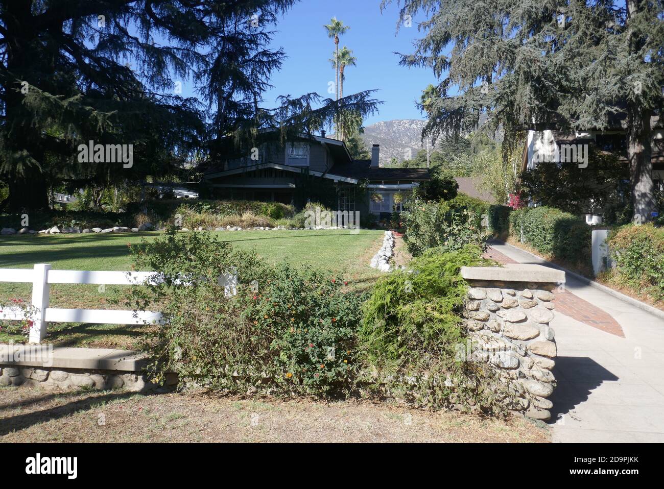 Poltergeist Movie Tree