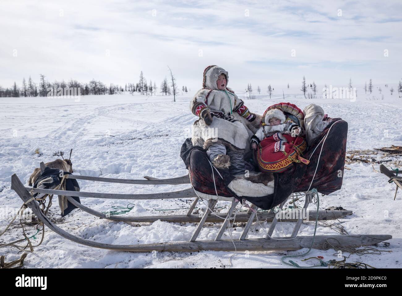 Two Nenets kids on a sleigh in a white snow tundra landscape, Yamalo ...