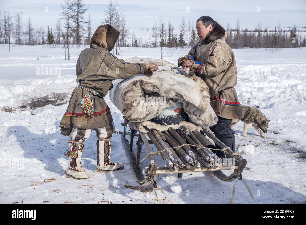 Two men reindeer sled hi-res stock photography and images - Alamy