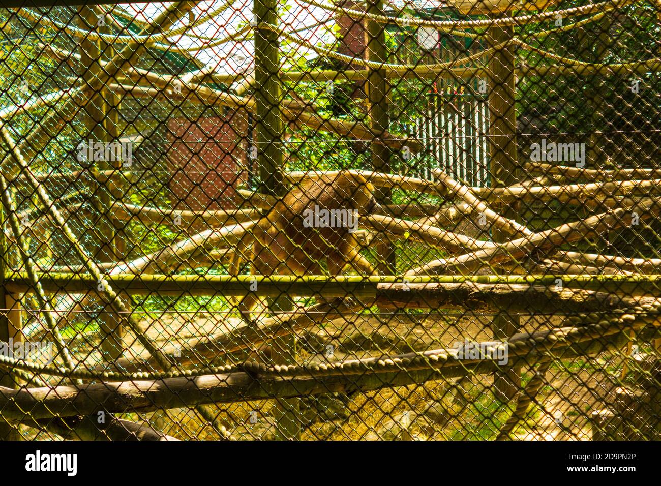 View of the entrance of Port Lympne Reserve -a breeding sanctuary for ...