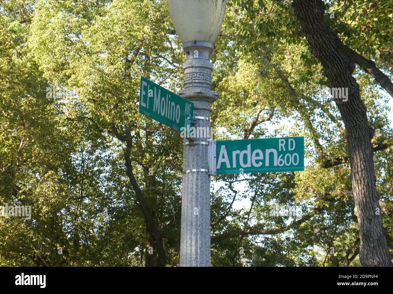 Pasadena, California, USA 4th November 2020 A general view of ...