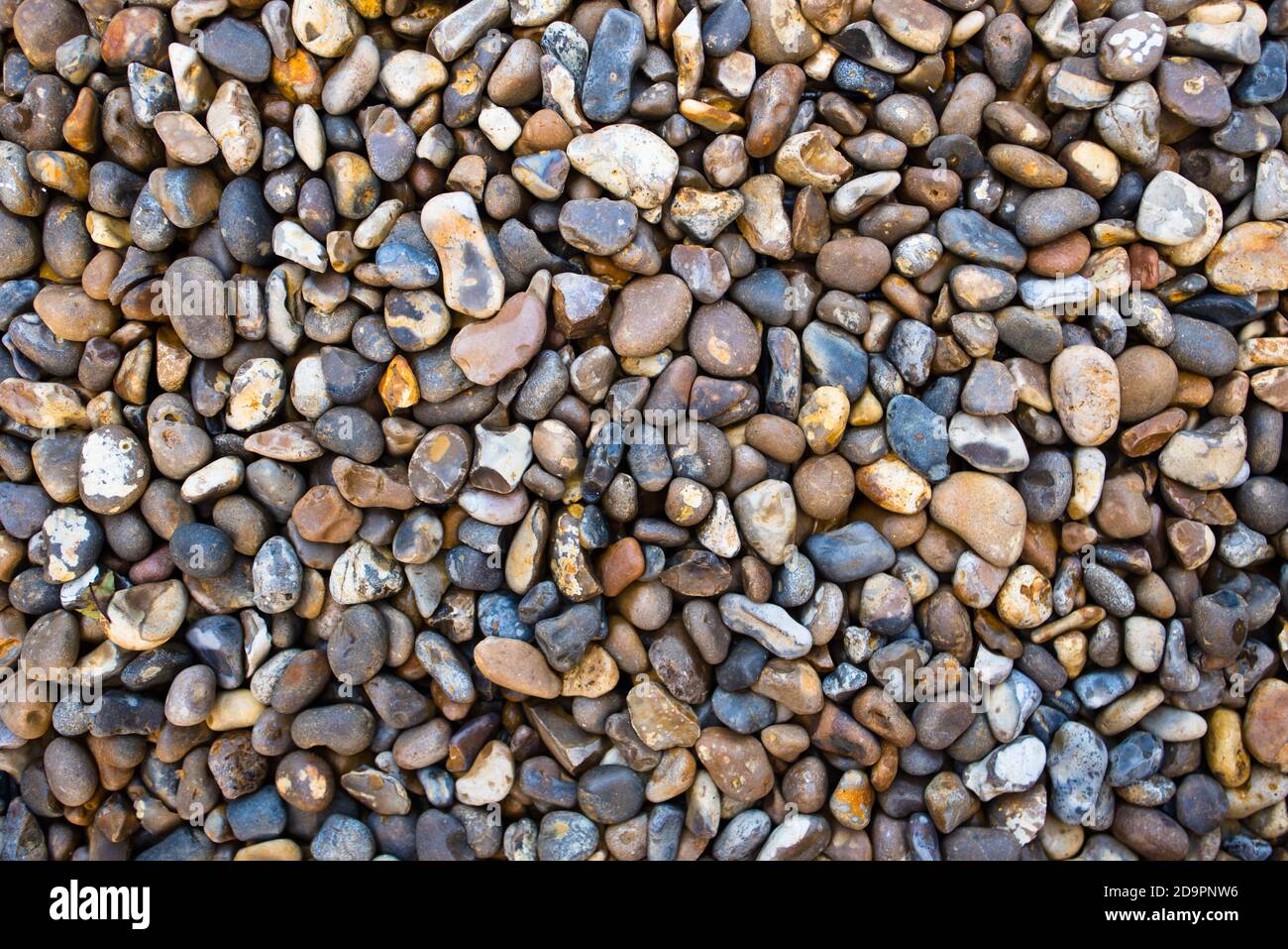 sea washed pebbles - beach pebbles - beach stones - beach rocks Stock ...