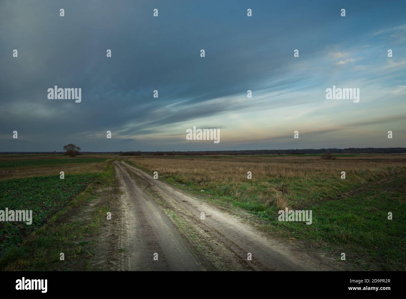 Sandy road through fields and evening clouds Stock Photo - Alamy